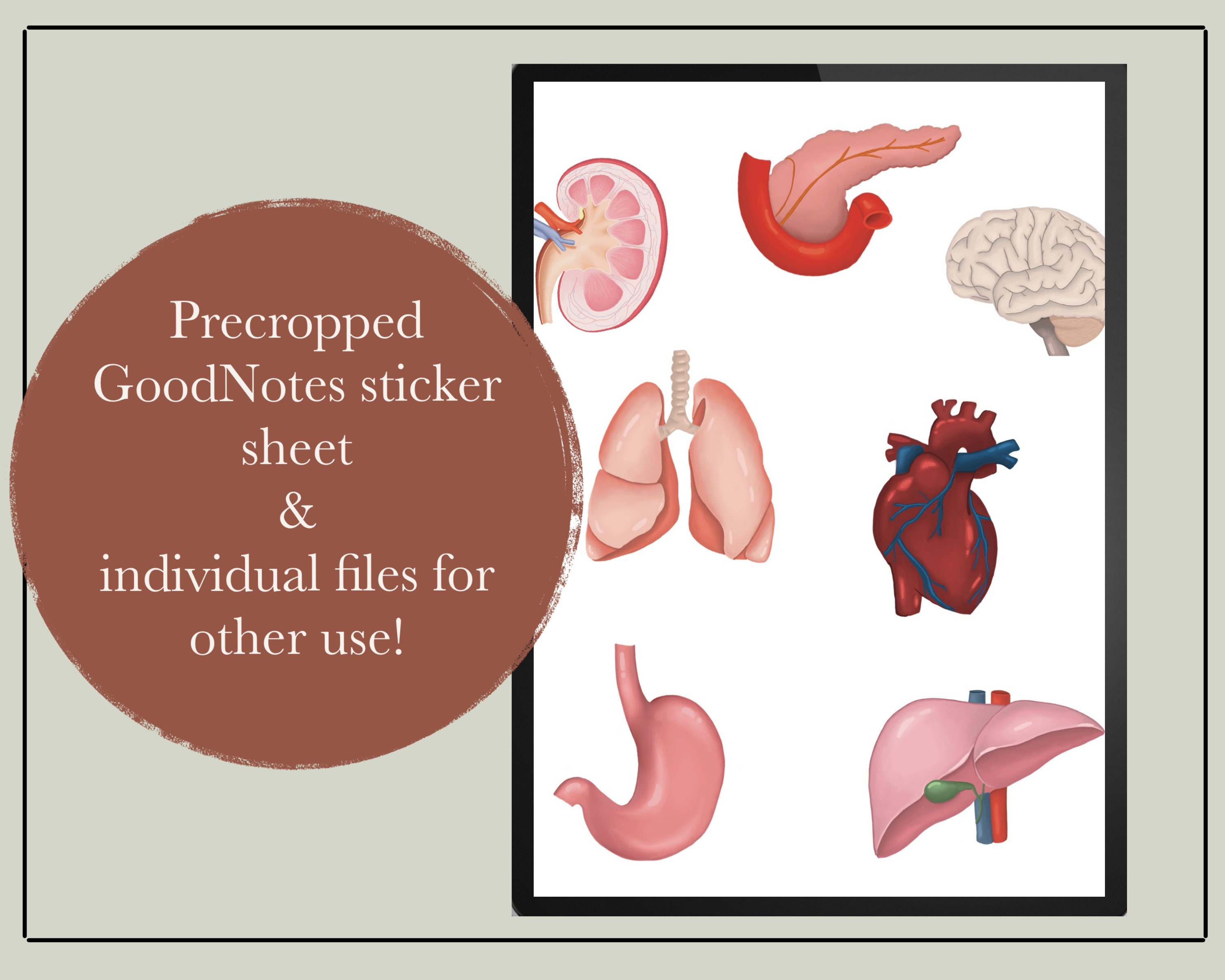 Organ Digital Sticker für Notizen, Präsentationen und mehr! - Etsy.de