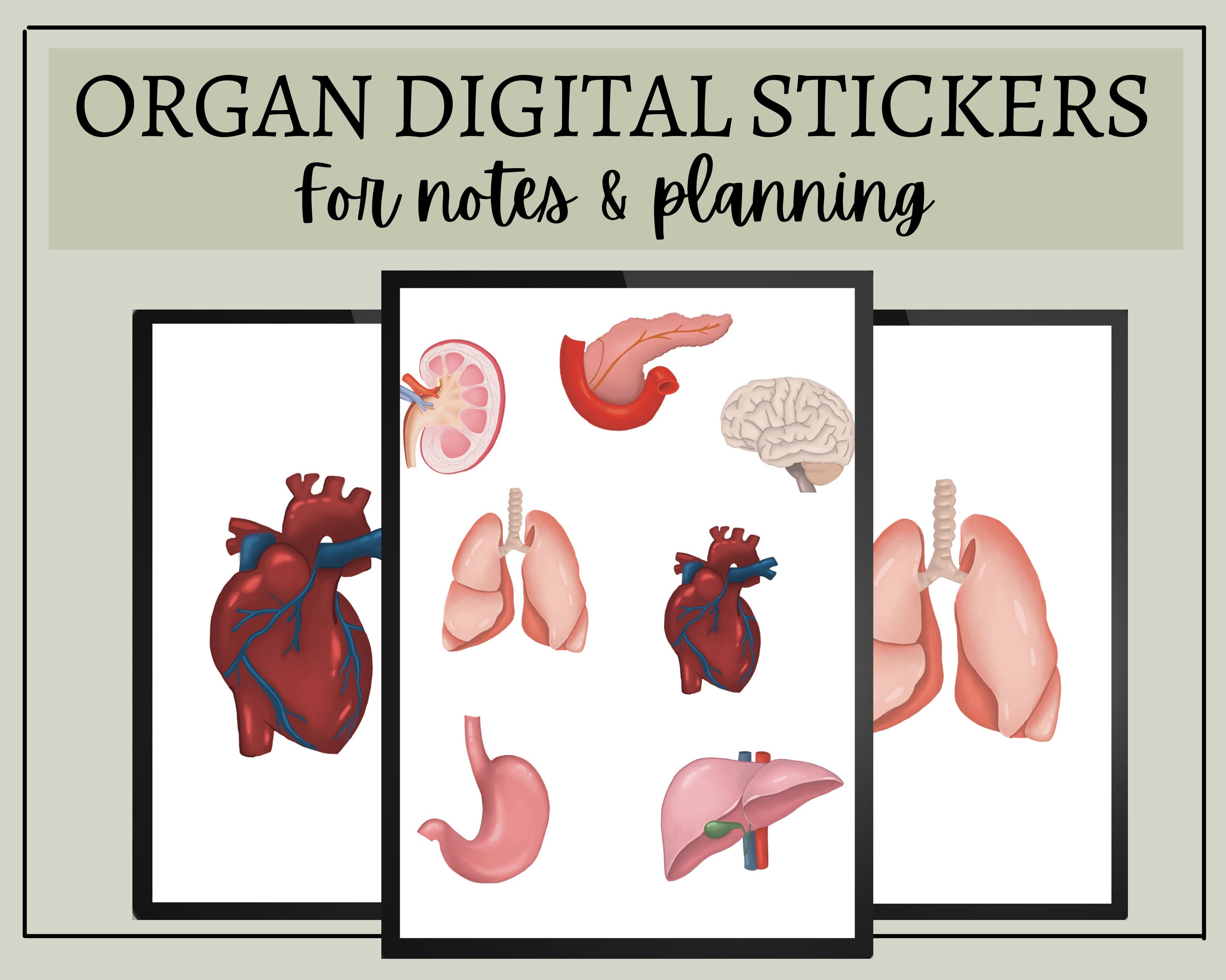Organ Digital Sticker für Notizen, Präsentationen und mehr! - Etsy.de