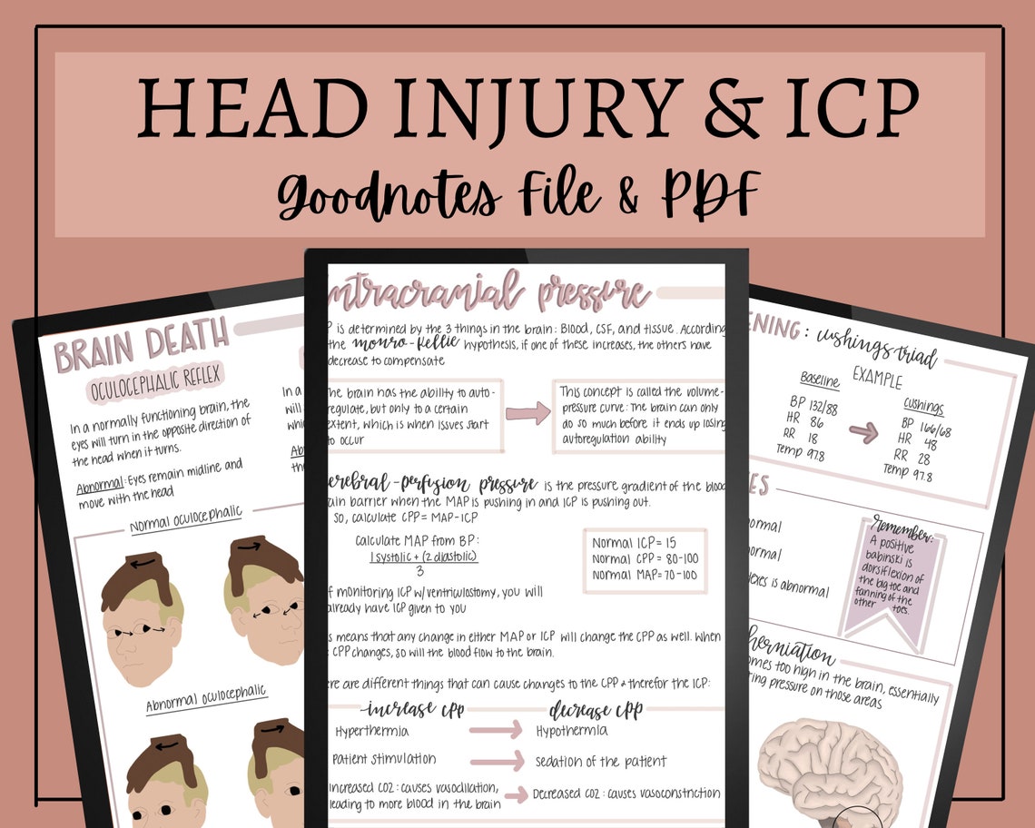 ICP Nursing Notes // Digital Download // Goodnotes File & PDF - Etsy