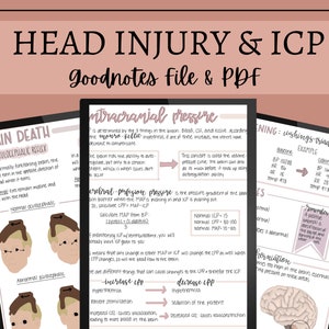 ICP Nursing Notes // Digital Download // Goodnotes File & PDF - Etsy