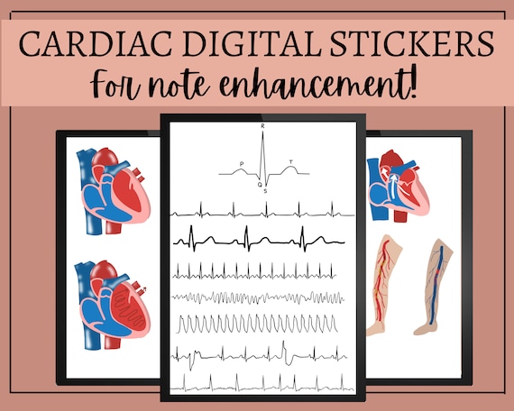 Cardiac Digital Stickers // Digital Download // Goodnotes File - Etsy