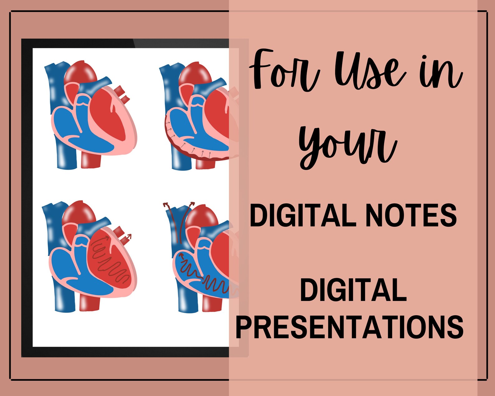 Cardiac Digital Stickers // Digital Download // Goodnotes File - Etsy