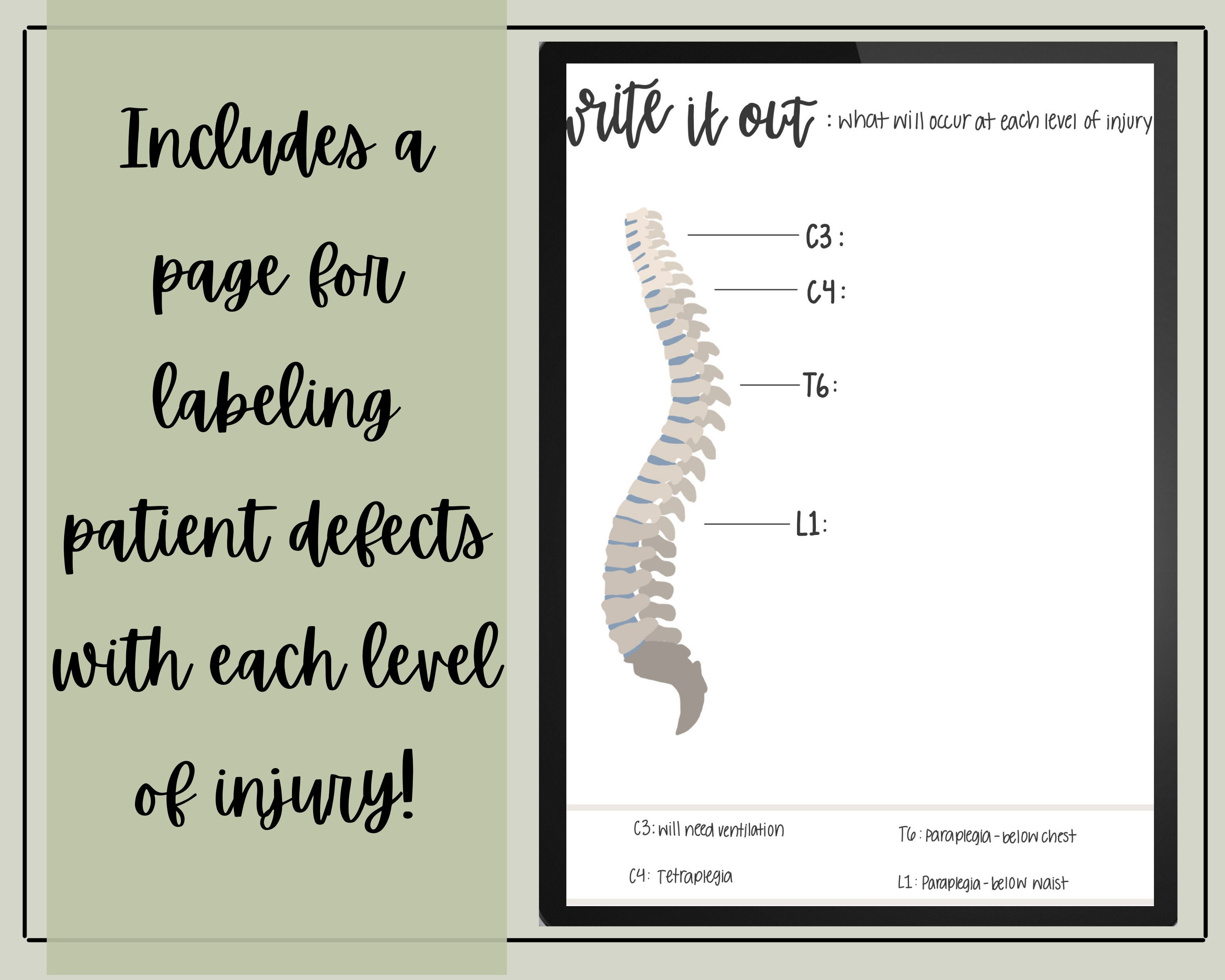Spinal Cord Injury Nursing Notes // Digital Download // Goodnotes File ...