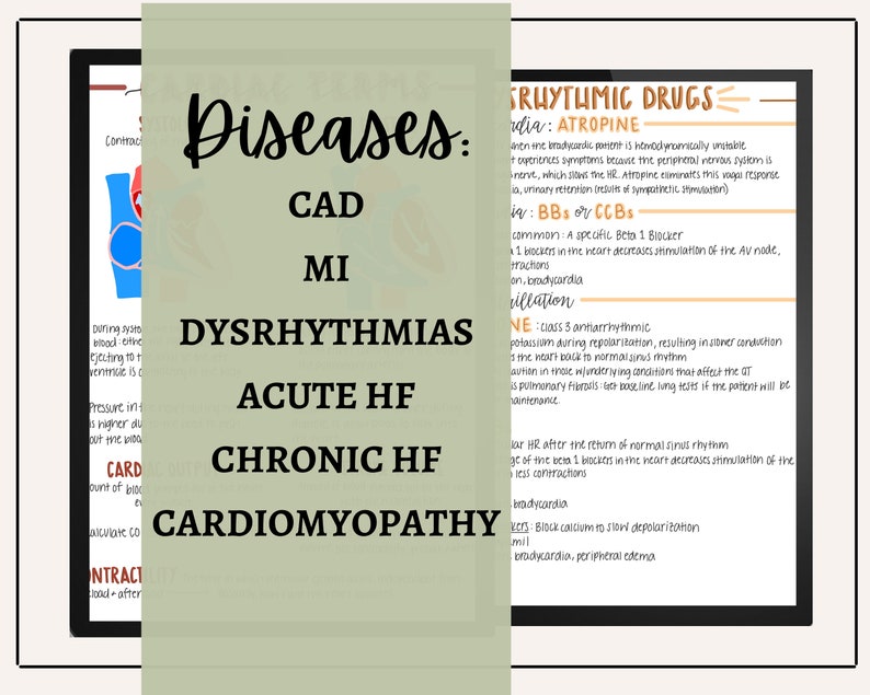 Cardiac Disorders Nursing Note Bundle // Digital Download // Goodnotes ...