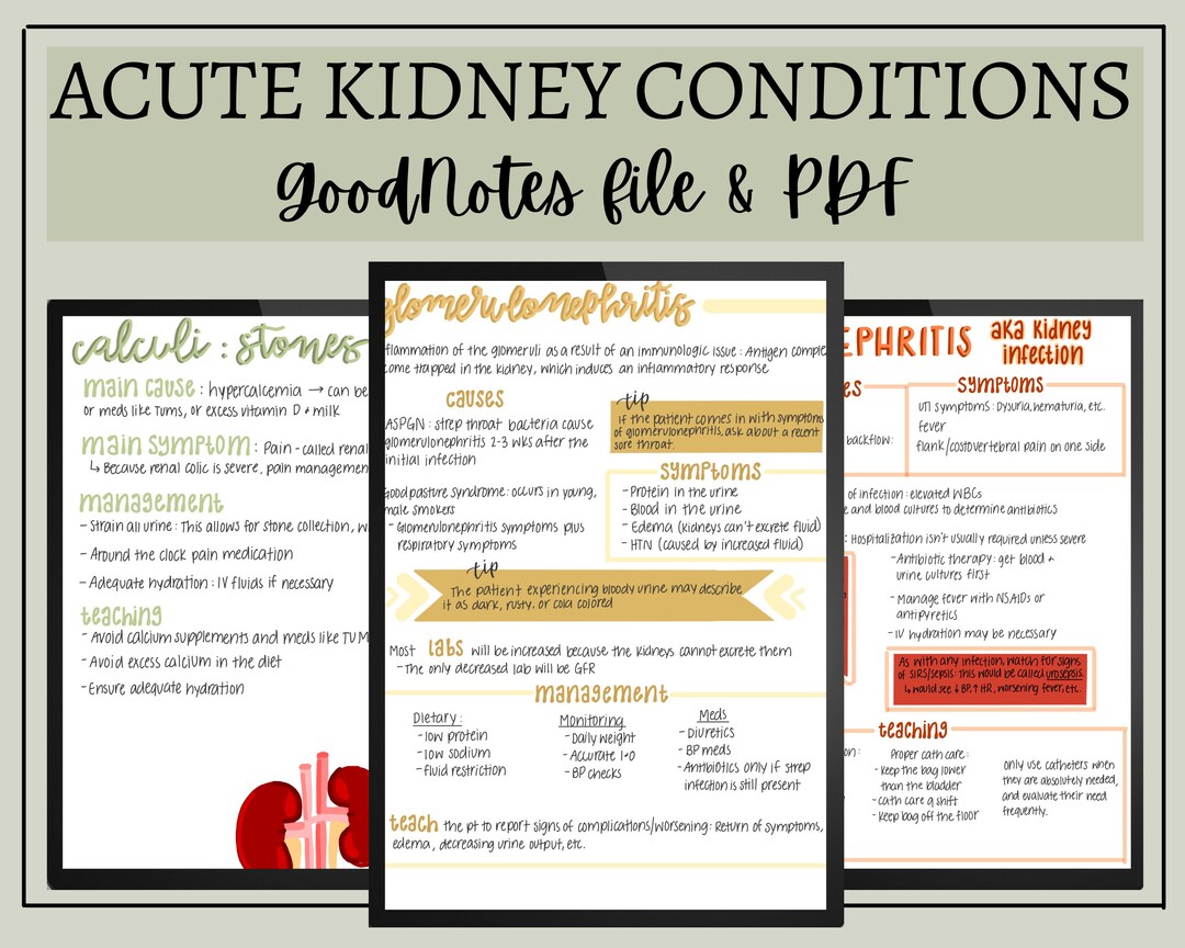 Acute Kidney Conditions Nursing Notes // Digital Download // Goodnotes ...