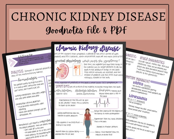 Chronic Kidney Disease Nursing Notes // Digital Download // | Etsy