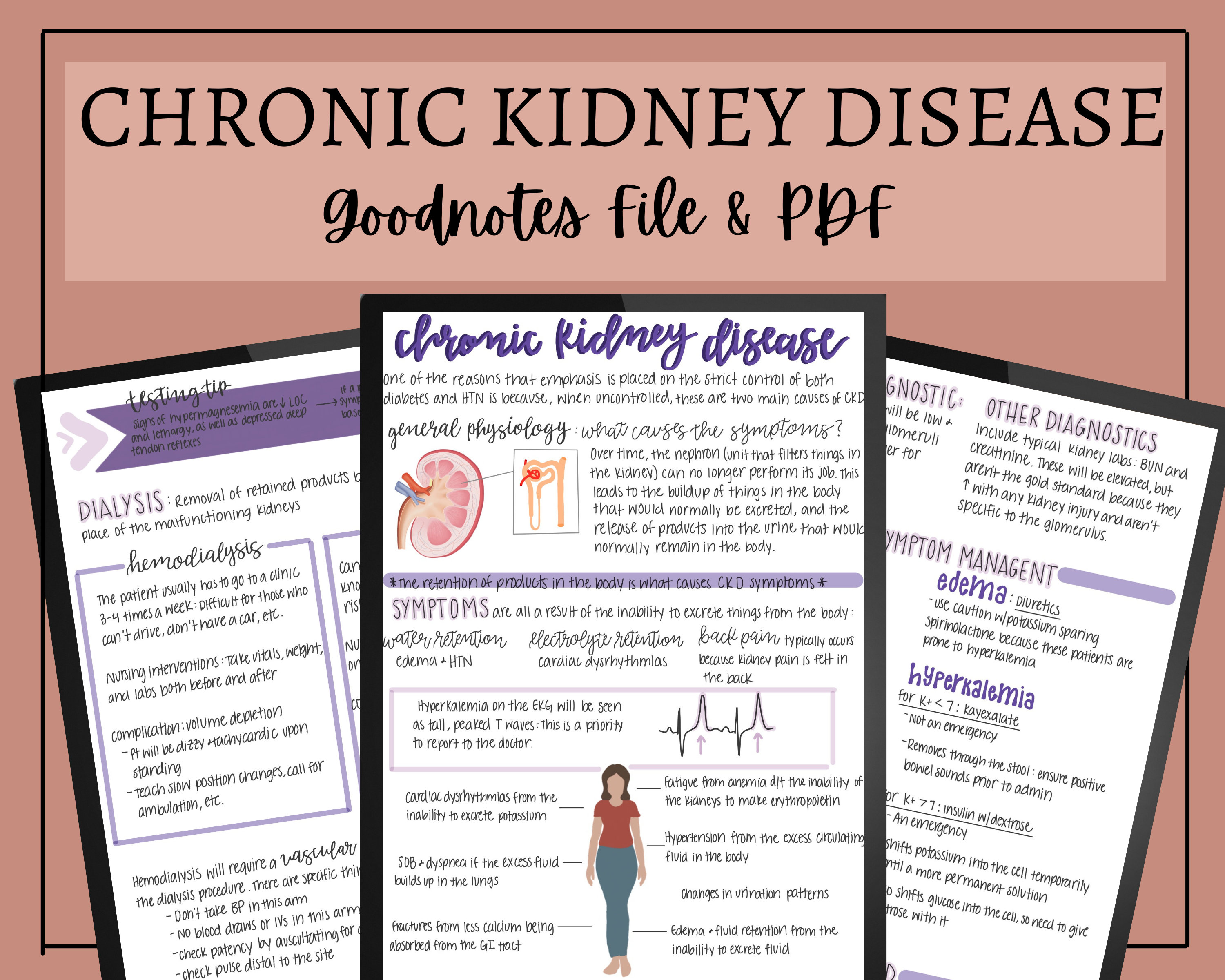 Chronic Kidney Disease Nursing Notes // Digital Download // Goodnotes ...