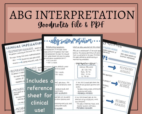 ABG Interpretation Nursing Notes - Etsy