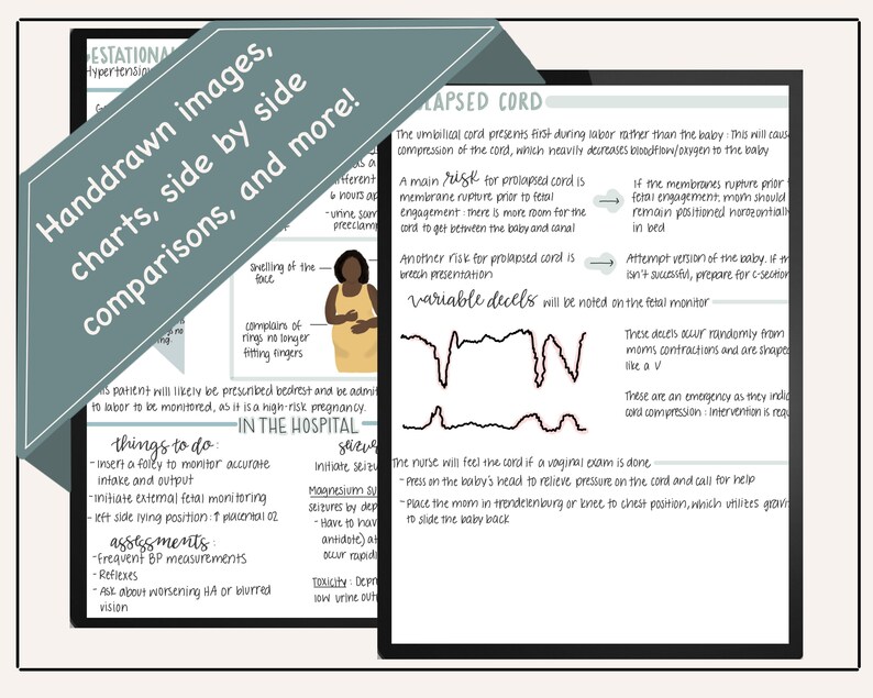 Complications of Pregnancy Nursing Notes // Digital Download ...