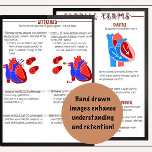 Cardiac Terms Nursing Notes // Digital Download // Goodnotes File & PDF ...