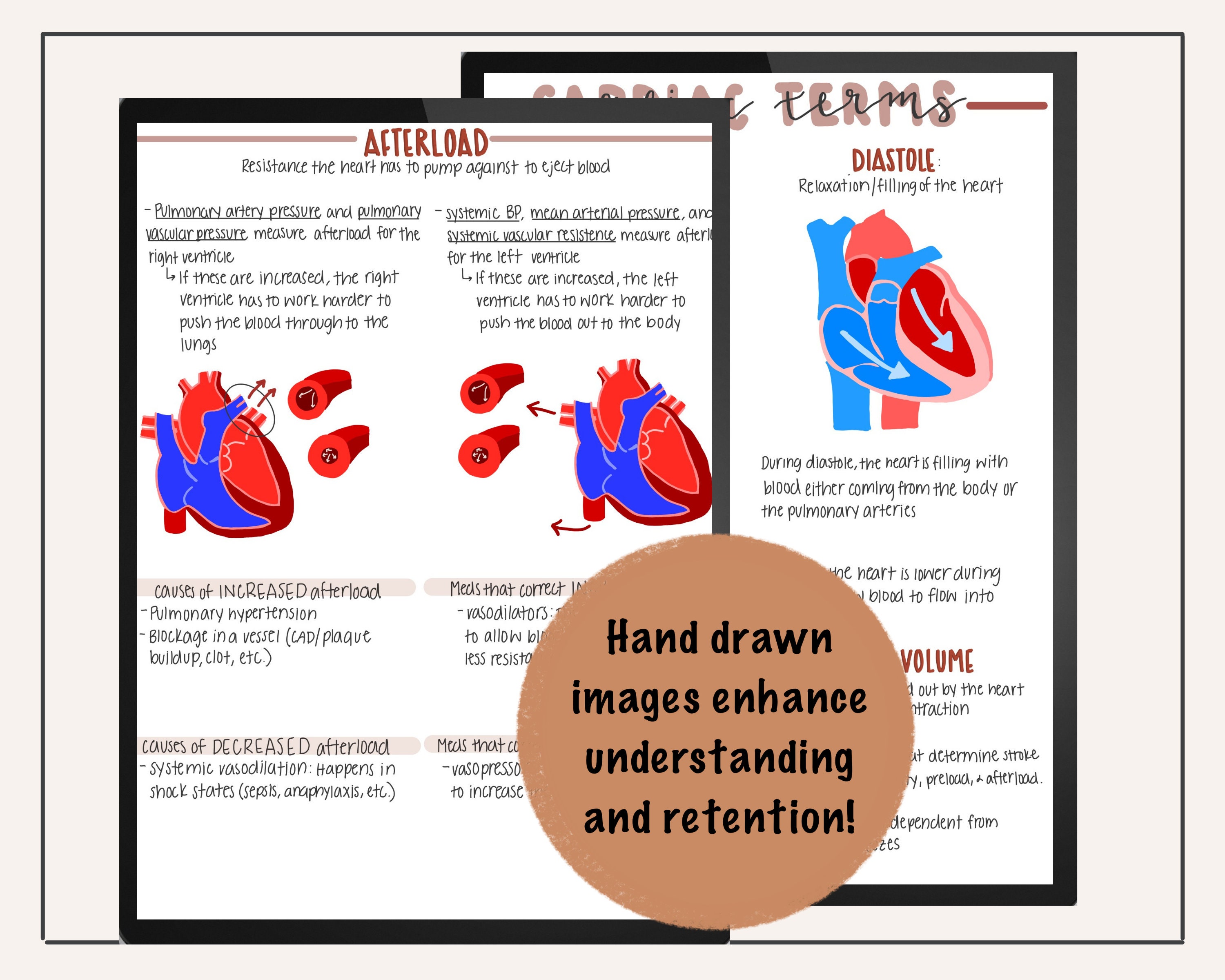Cardiac Terms Nursing Notes // Digital Download // Goodnotes File & PDF ...