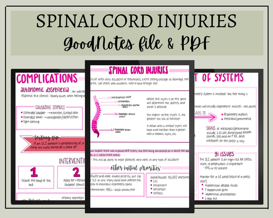 Spinal Cord Injury Nursing Notes // Digital Download // Goodnotes File ...