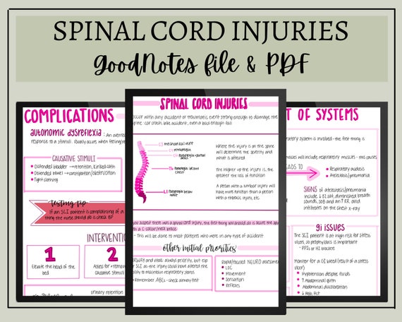 Spinal Cord Injury Nursing Notes // Digital Download // - Etsy