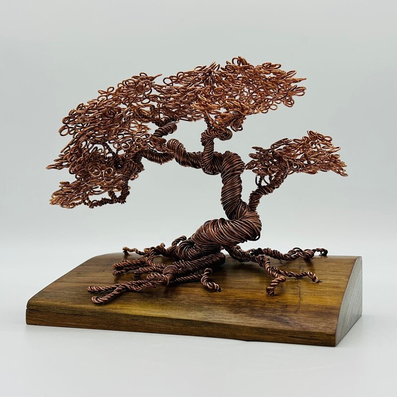 Wire Bonsai - Etsy