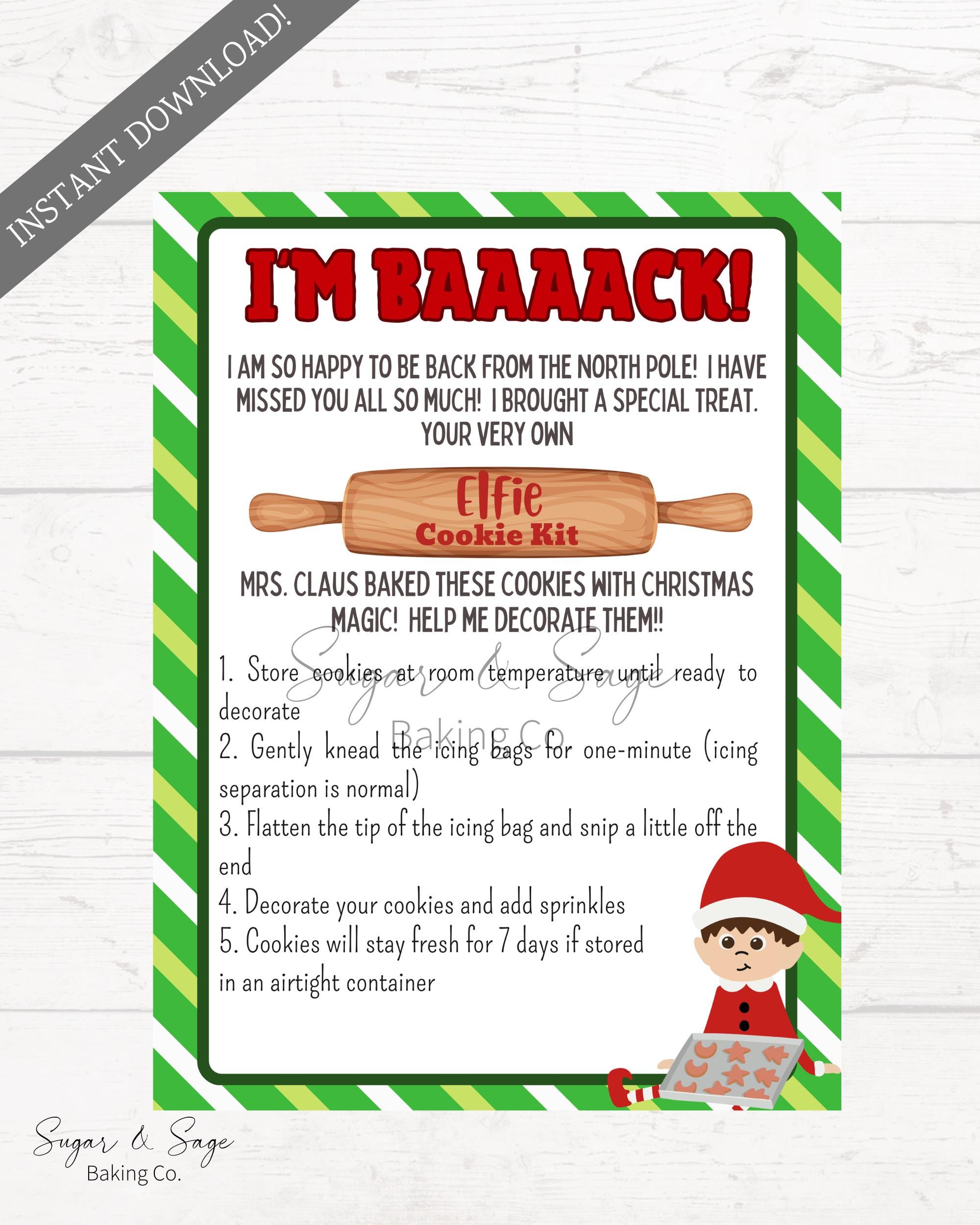 Printable Elfie "im Back" Cookie Kit Instructions - Etsy