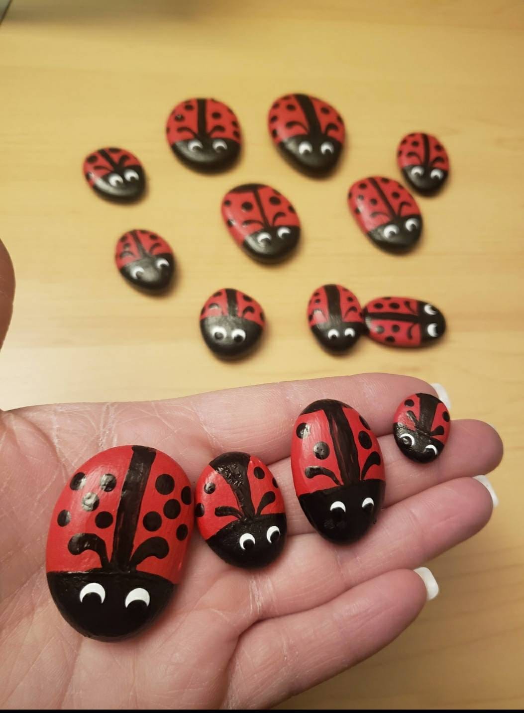 Ladybug Painted Rocks (set of 5) Rock Art - Etsy