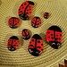 Ladybug Painted Rocks (set of 5) Rock Art - Etsy