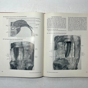 1963 A New System of Anatomy by Sir Solly Zuckerman, A Large ...
