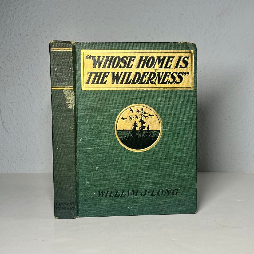 1907 Whose Home is the Wilderness: Studies of Wild Animal Life by ...