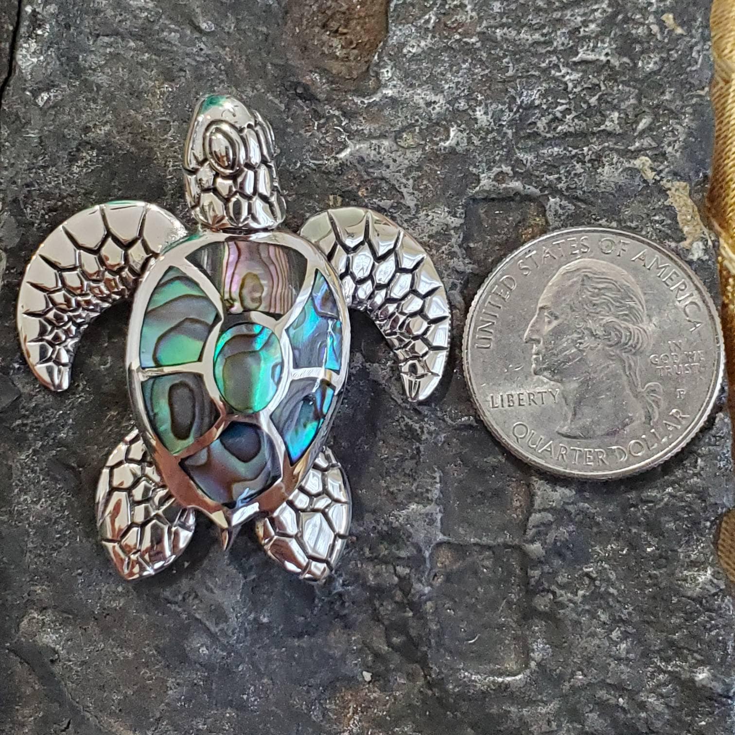 Large Silver Turtle Pendant With Abalone - Etsy