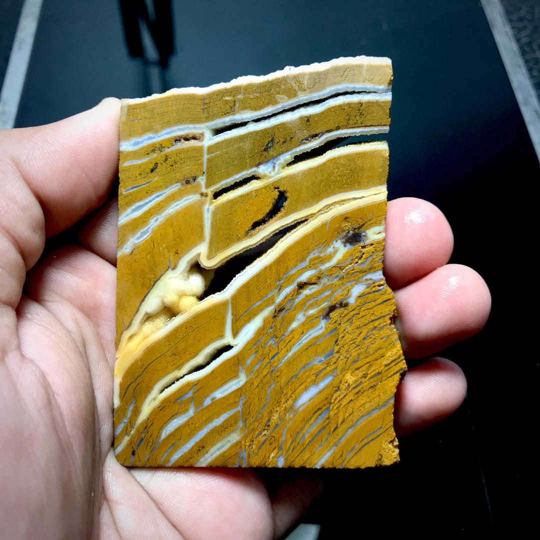 Unique Petrified Wood Unpolished Slabs for Lapidary 81x58x8 Mm, Jewelry ...
