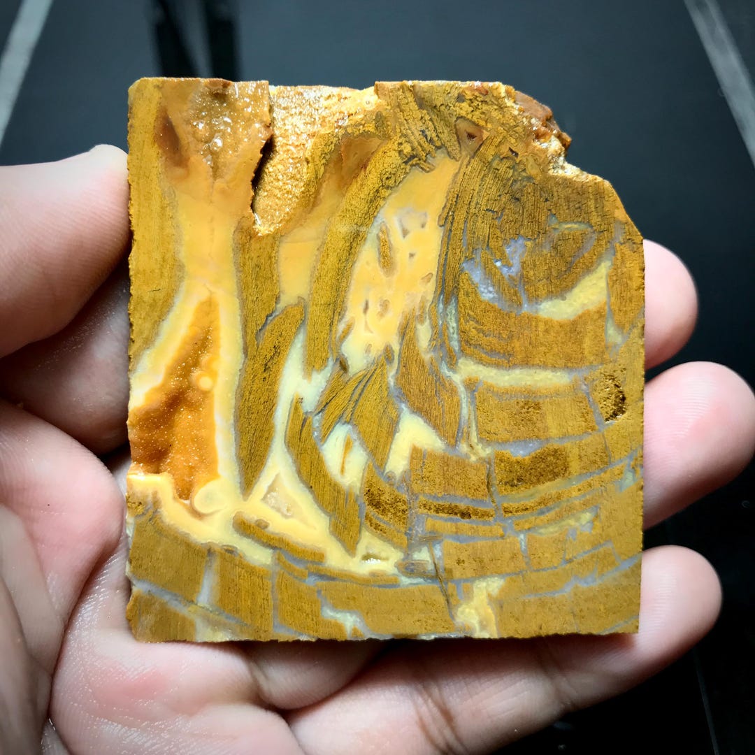 Unique Petrified Wood Unpolished Slabs for Lapidary 63x59x7 Mm, Jewelry ...