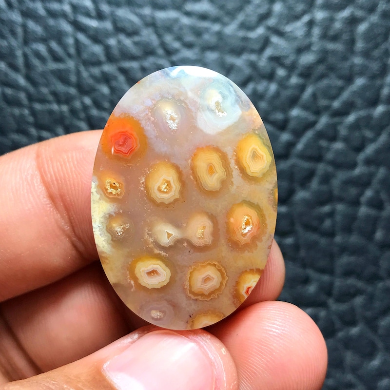 Fossil Coral Sumatra - Etsy