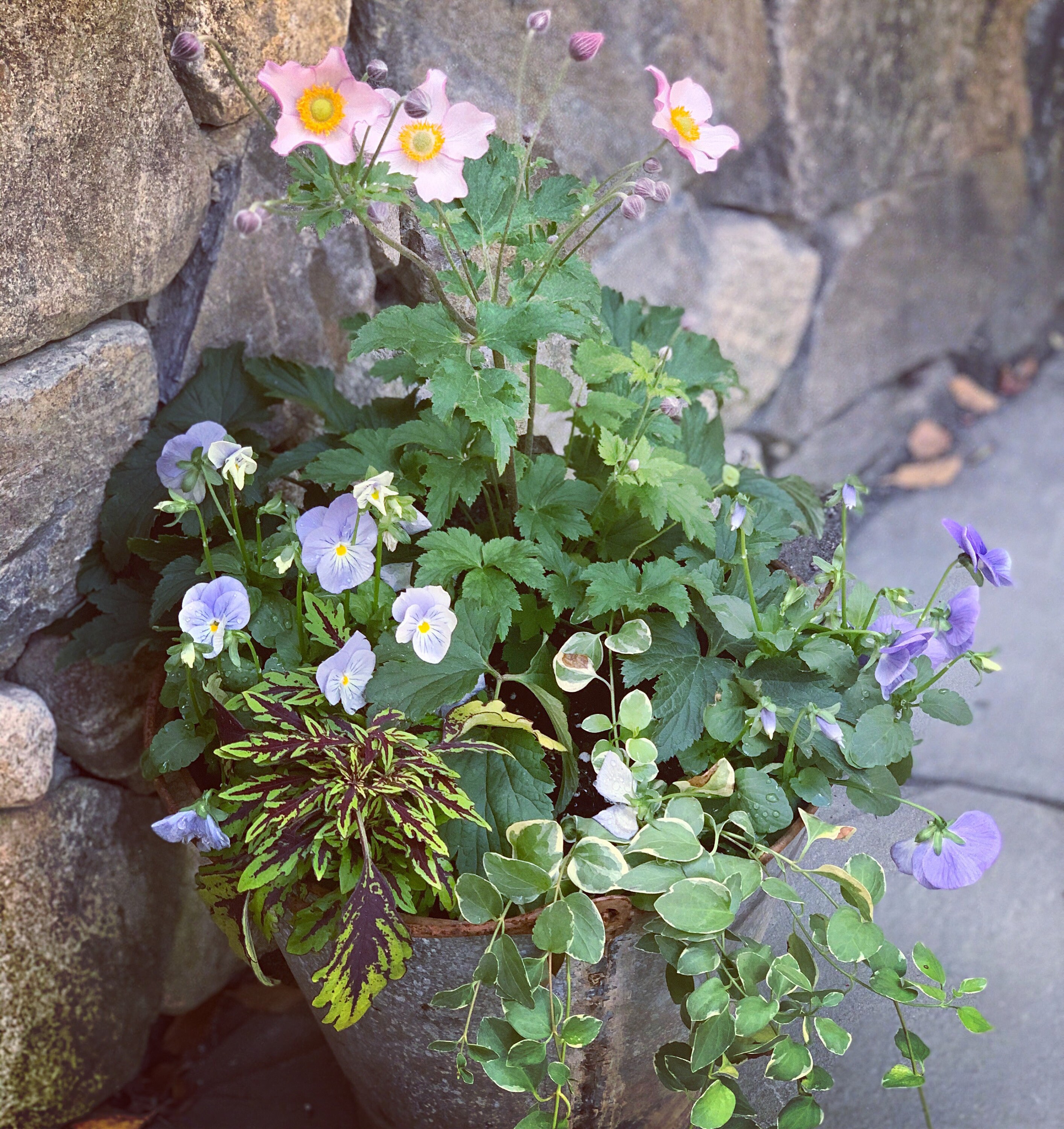 Custom Outdoor Planters - Etsy