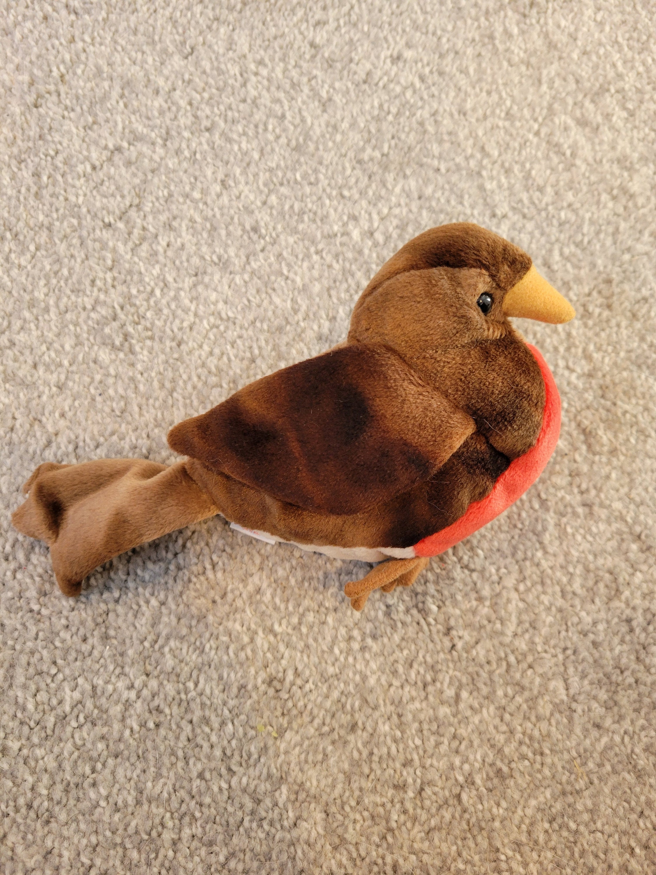 Authentic TY Beanie Baby - Early the Robin - Bird Lover, Bird Watcher ...