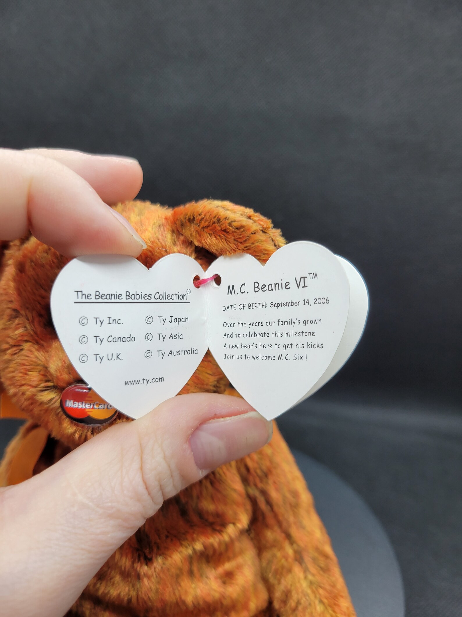 Authentic TY Beanie Baby - Mastercard Beanie VI Bear - Etsy