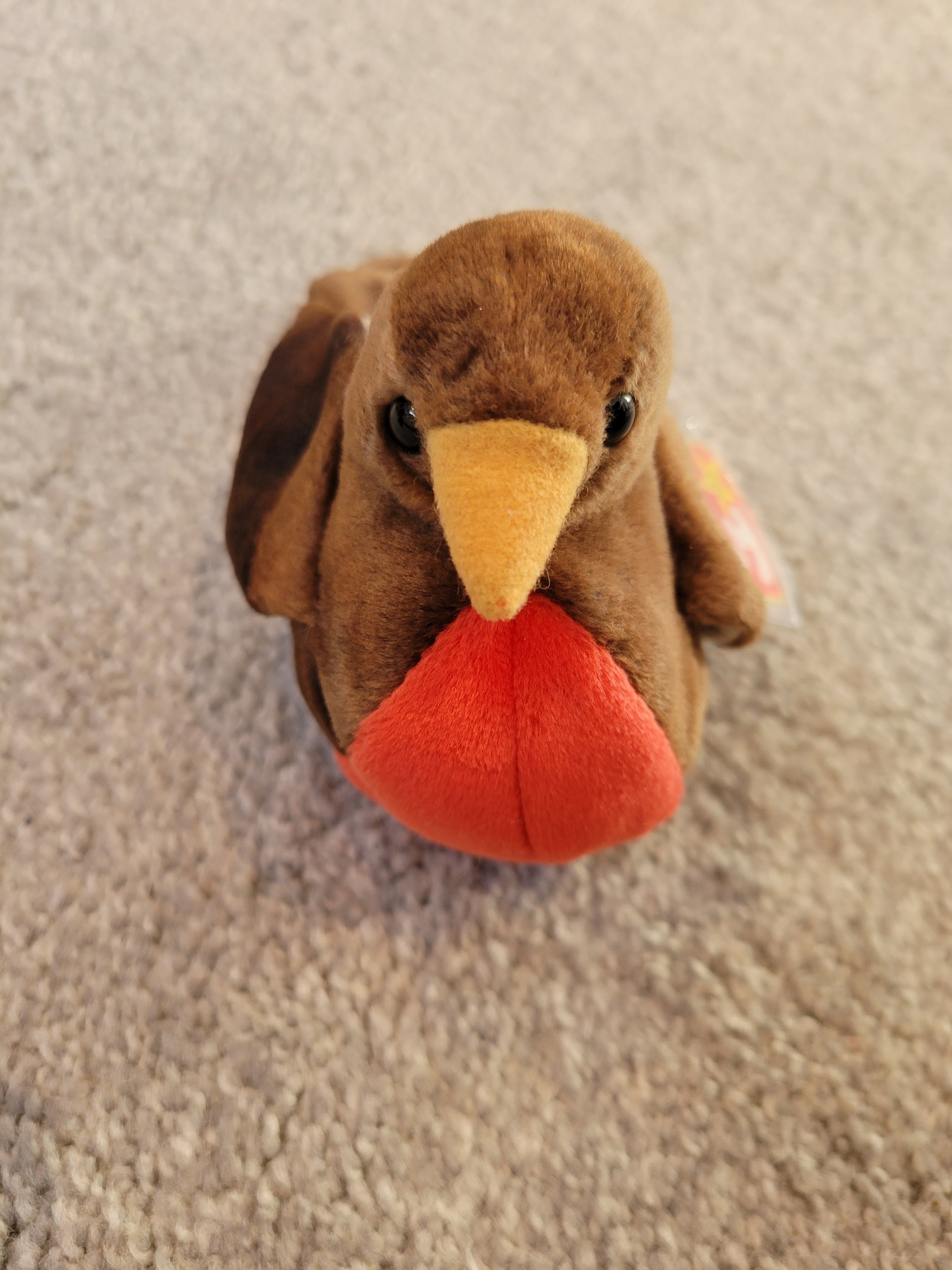 Authentic TY Beanie Baby - Early the Robin - Bird Lover, Bird Watcher ...