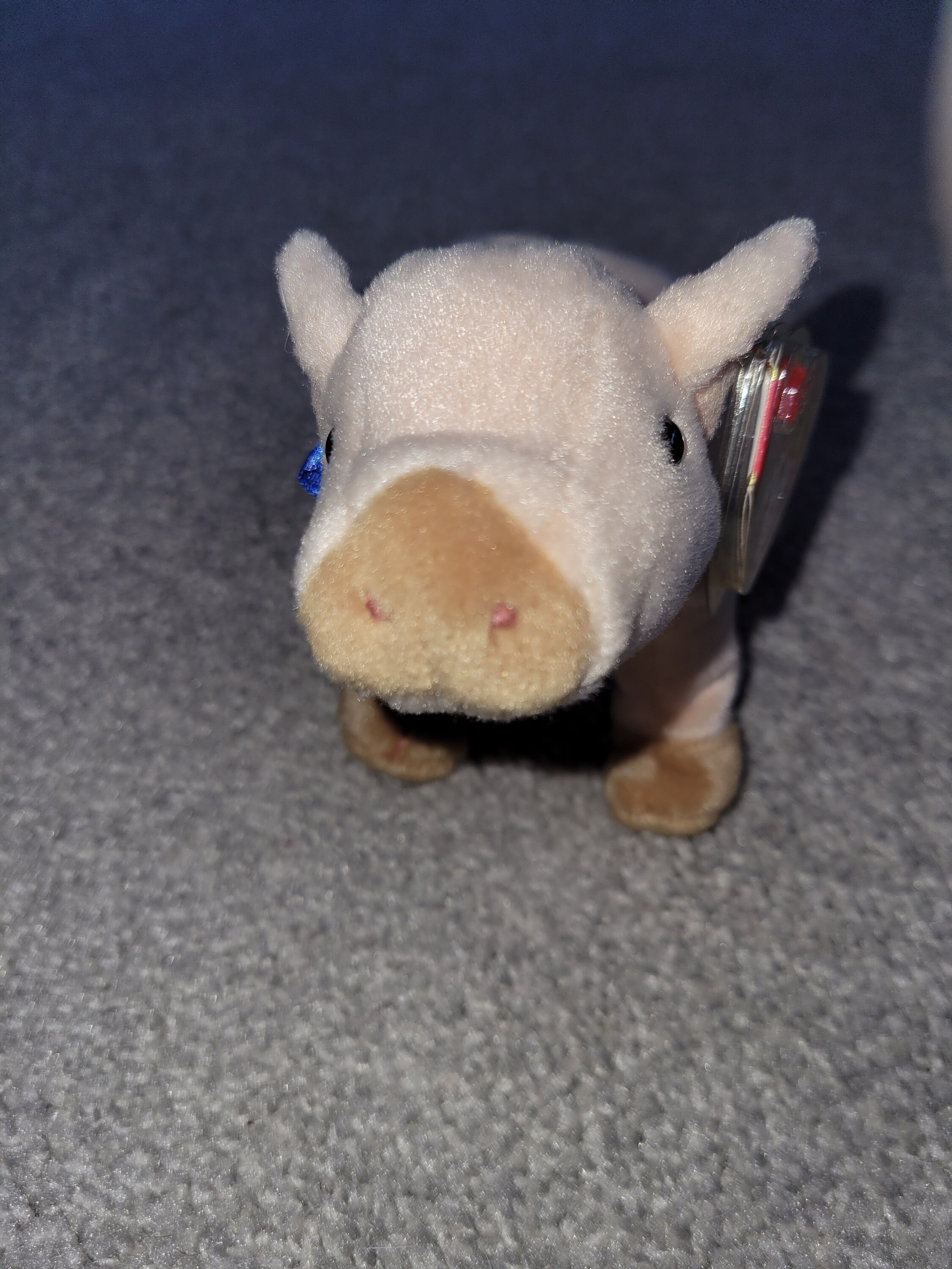 Authentic TY Beanie Baby - Knuckles the Pig, Charlotte's Web, Piglet ...