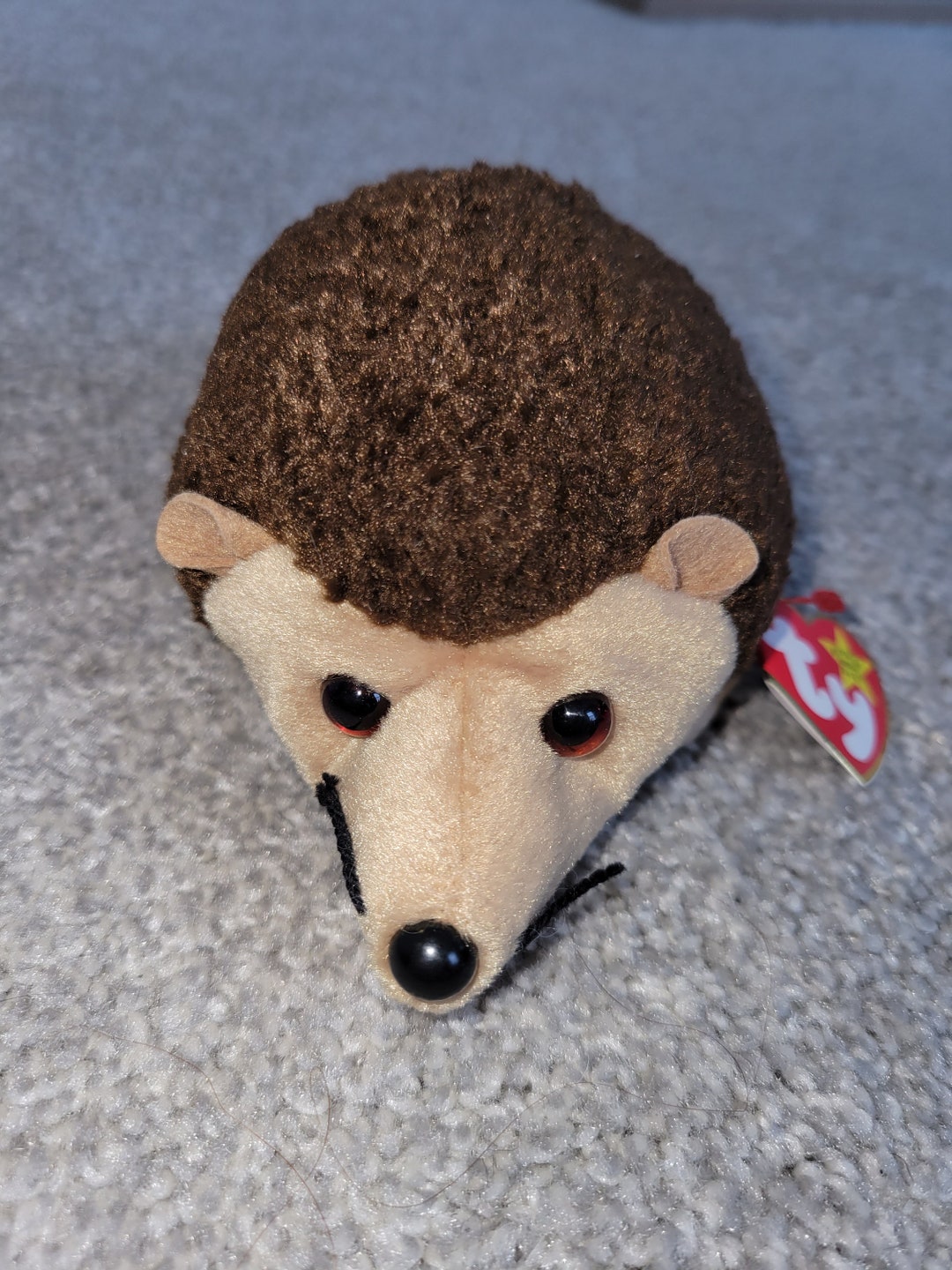 Authentic TY Beanie Baby - Prickles the Hedgehog - W/minor Error ...