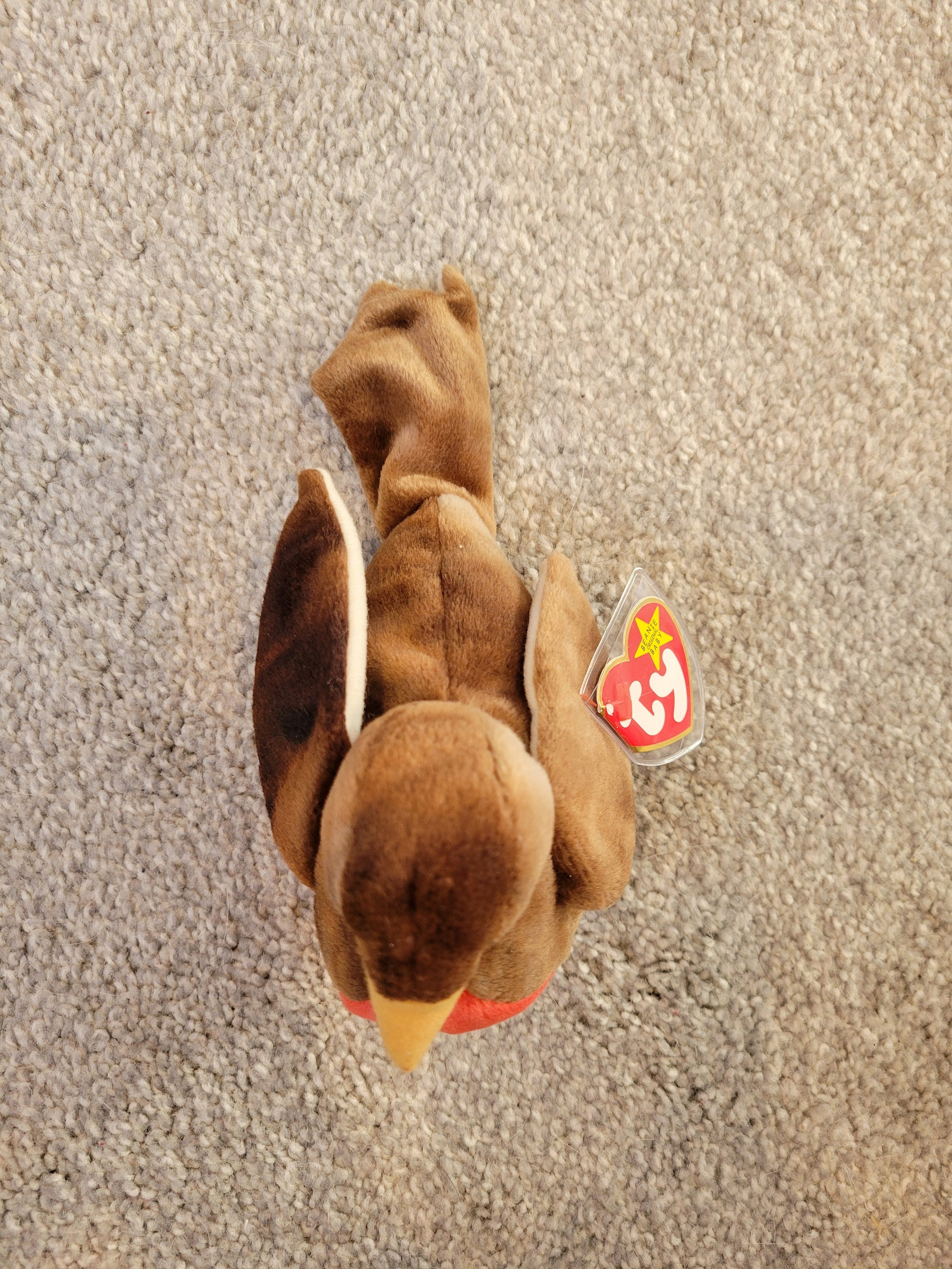 Authentic TY Beanie Baby - Early the Robin - Bird Lover, Bird Watcher ...