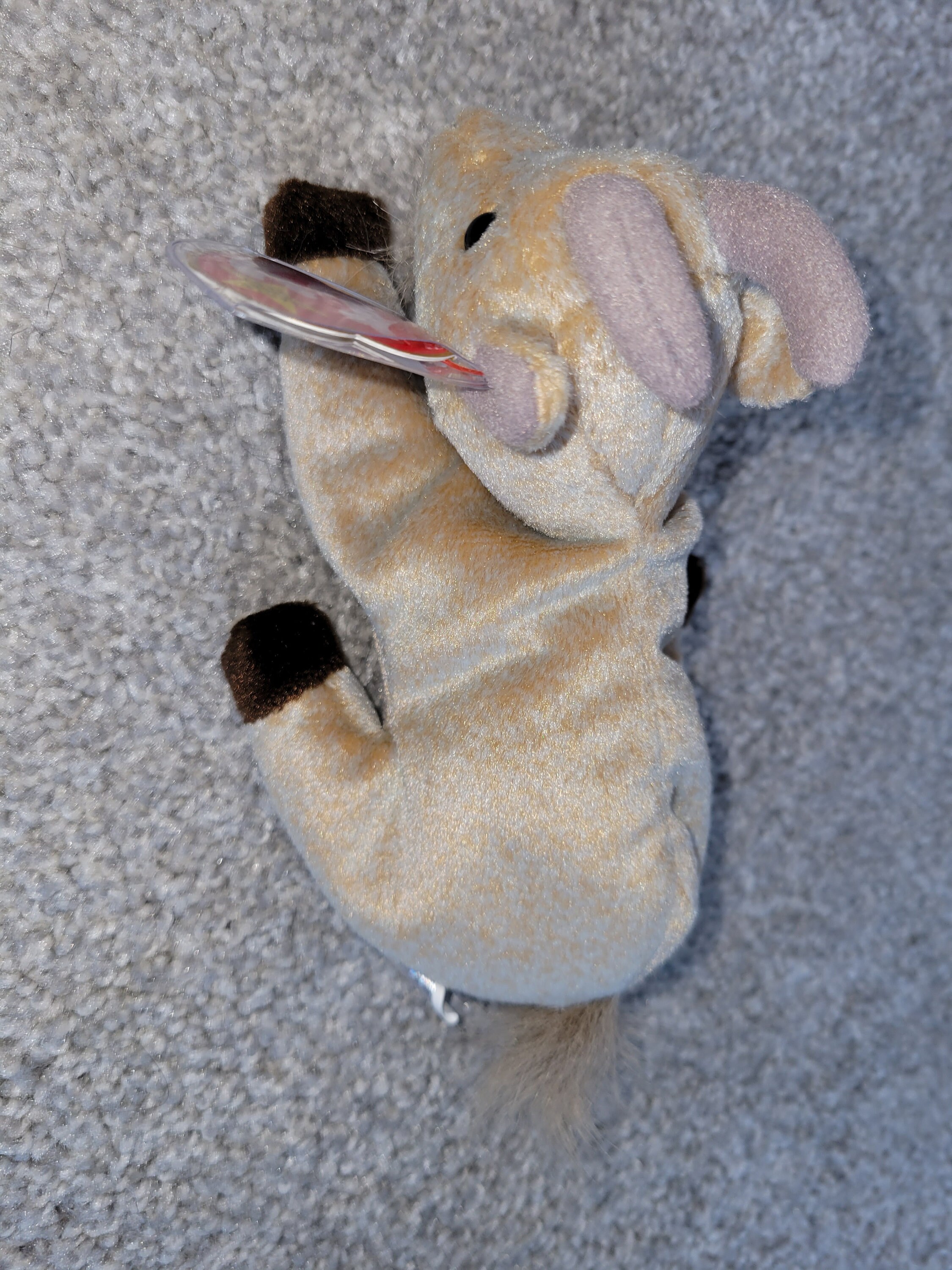 Authentic TY Beanie Baby - Goatee the Goat - W/minor Error! - Farm ...