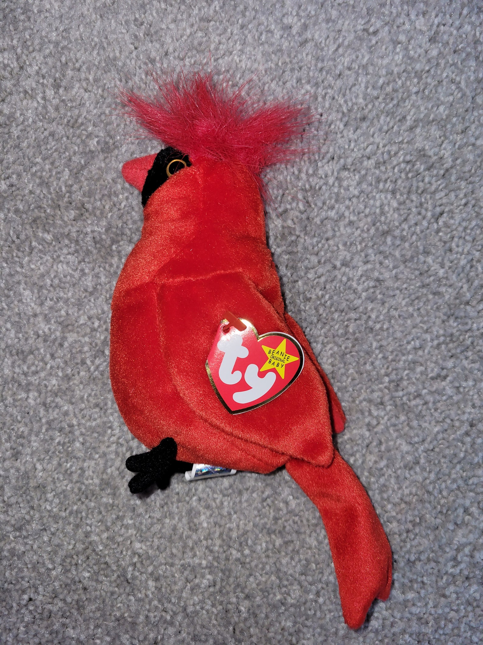 Authentic TY Beanie Baby - Mac the Cardinal - MINT W/minor Error - Bird ...