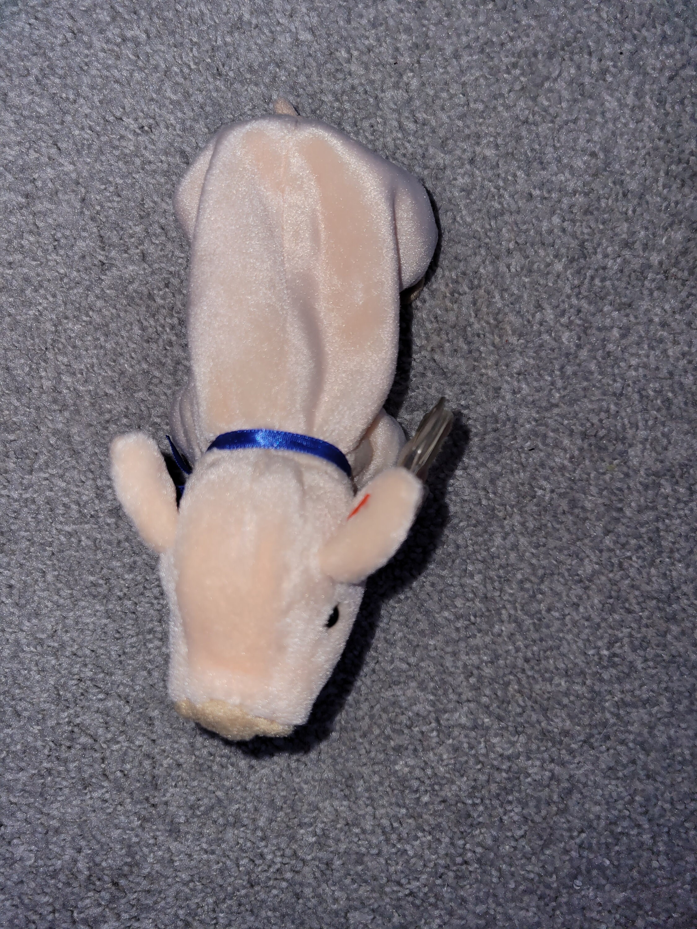 Authentic TY Beanie Baby - Knuckles the Pig, Charlotte's Web, Piglet ...