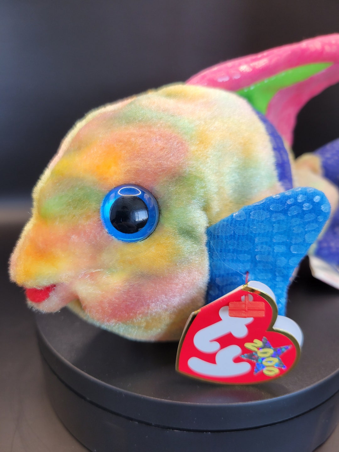 Authentic TY Beanie Baby - Aruba the Fish, Saltwater Fish, Fish Tank ...