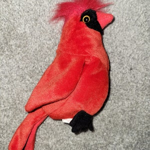 Authentic TY Beanie Baby - Mac the Cardinal - MINT W/minor Error - Bird ...