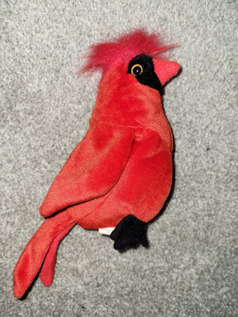 Authentic TY Beanie Baby - Mac the Cardinal - MINT W/minor Error - Bird ...