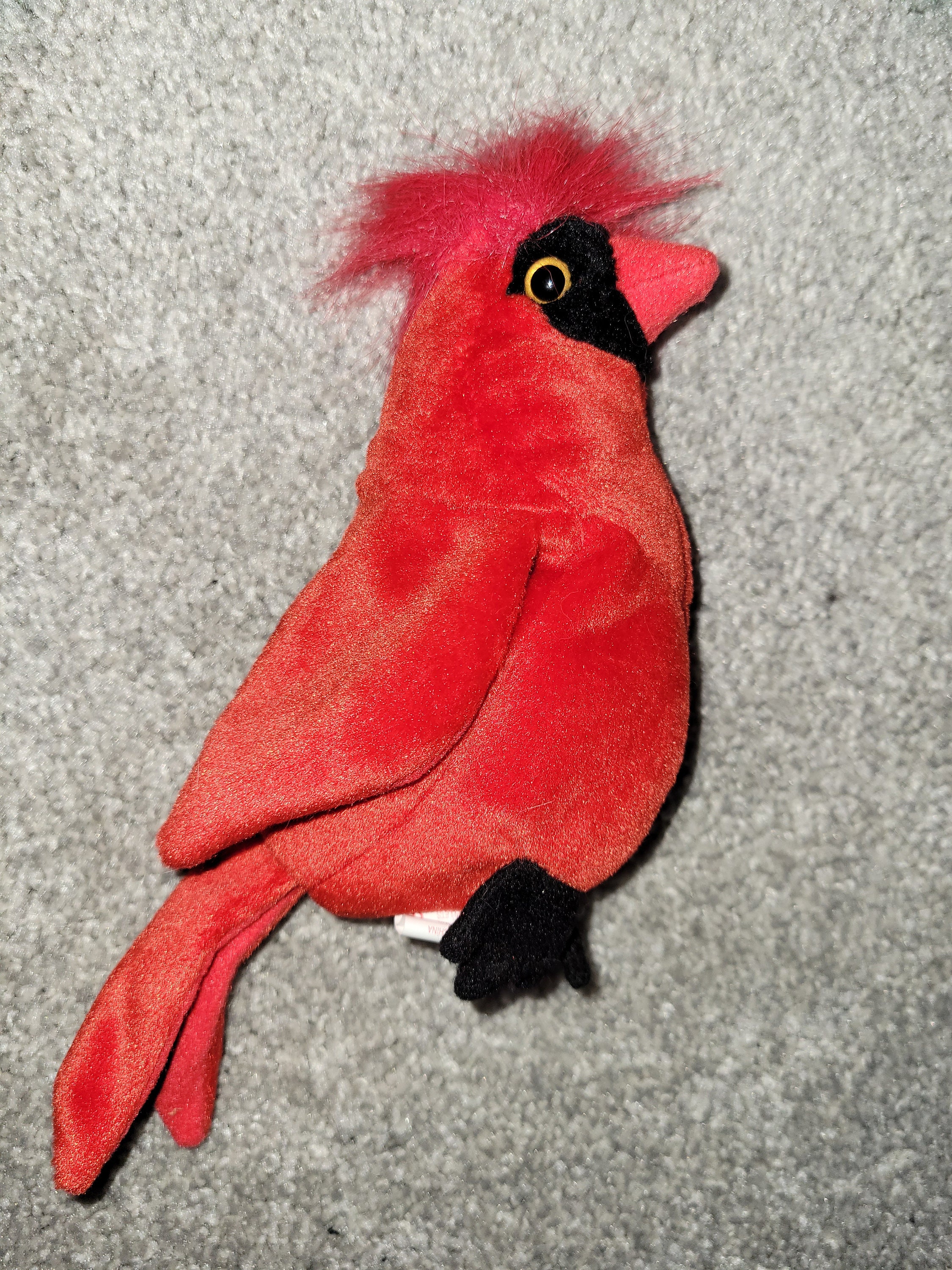Authentic TY Beanie Baby - Mac the Cardinal - MINT W/minor Error - Bird ...