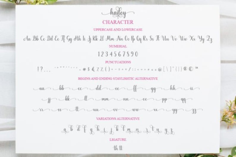 Elegant Handwritten Hailey Font - Etsy