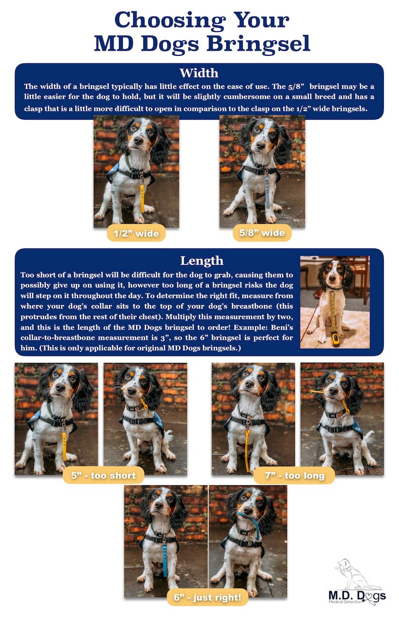 Bringsel Alert Biothane Vegan Leather Made to Order 20 - Etsy