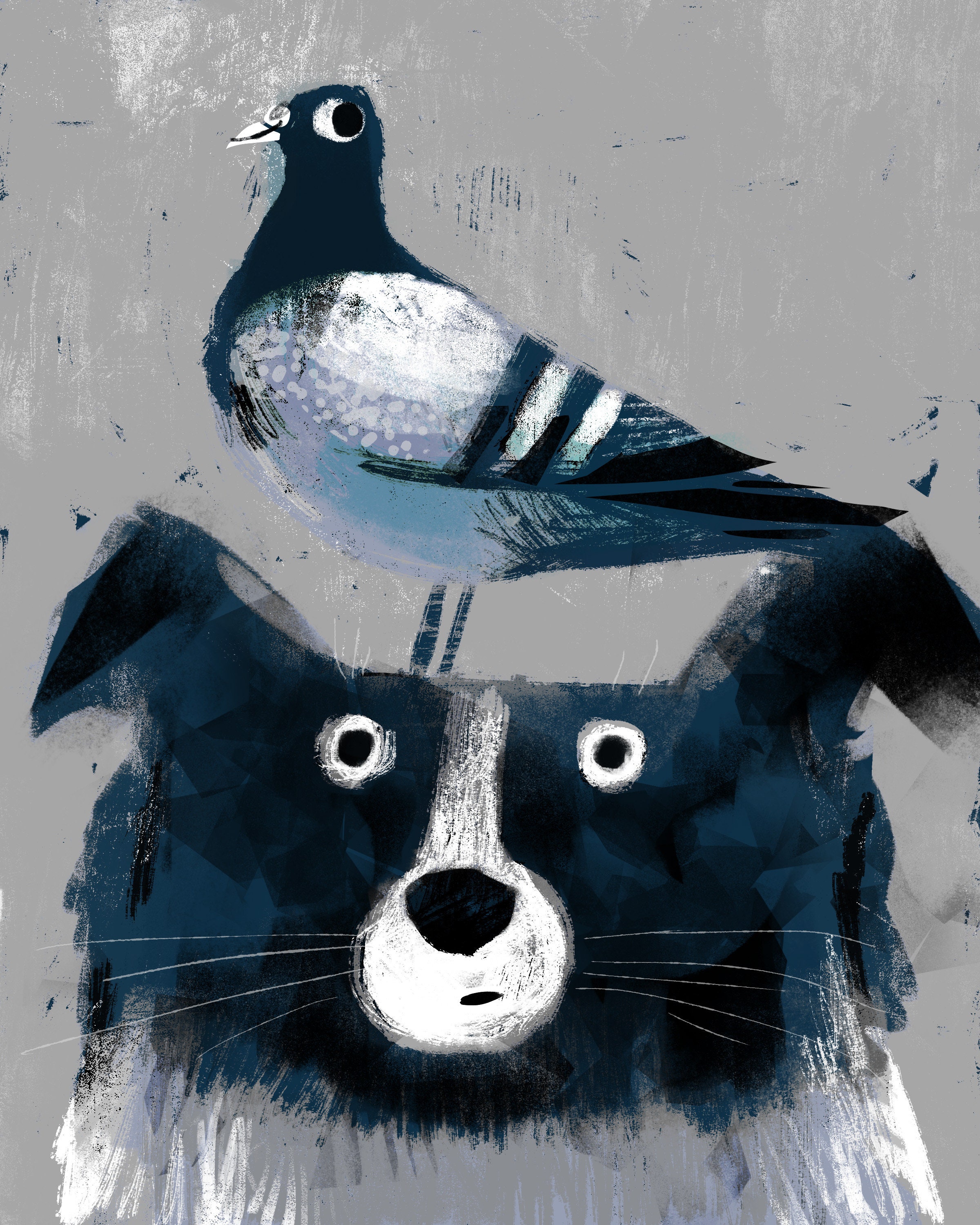 Border Collie With Pesky Pigeon - Etsy