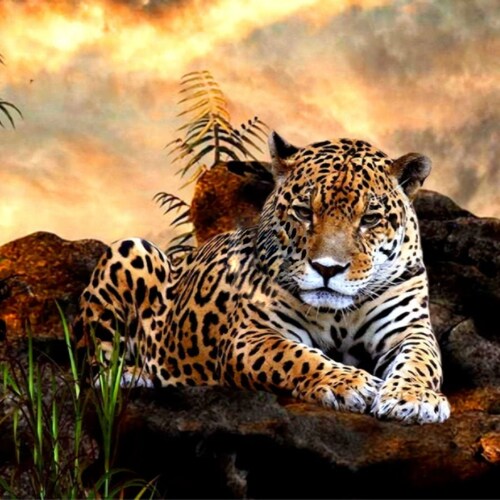 Full Square/round Diamond Painting Winter 5D DIY Diamond - Etsy