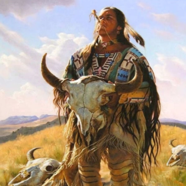 Native American Diamond Art - Etsy