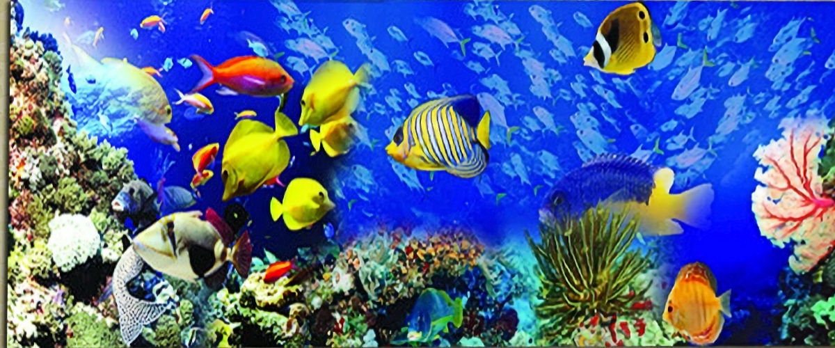 Large Horizonal Mural Fish Tank DIY 5D Diamond | Etsy