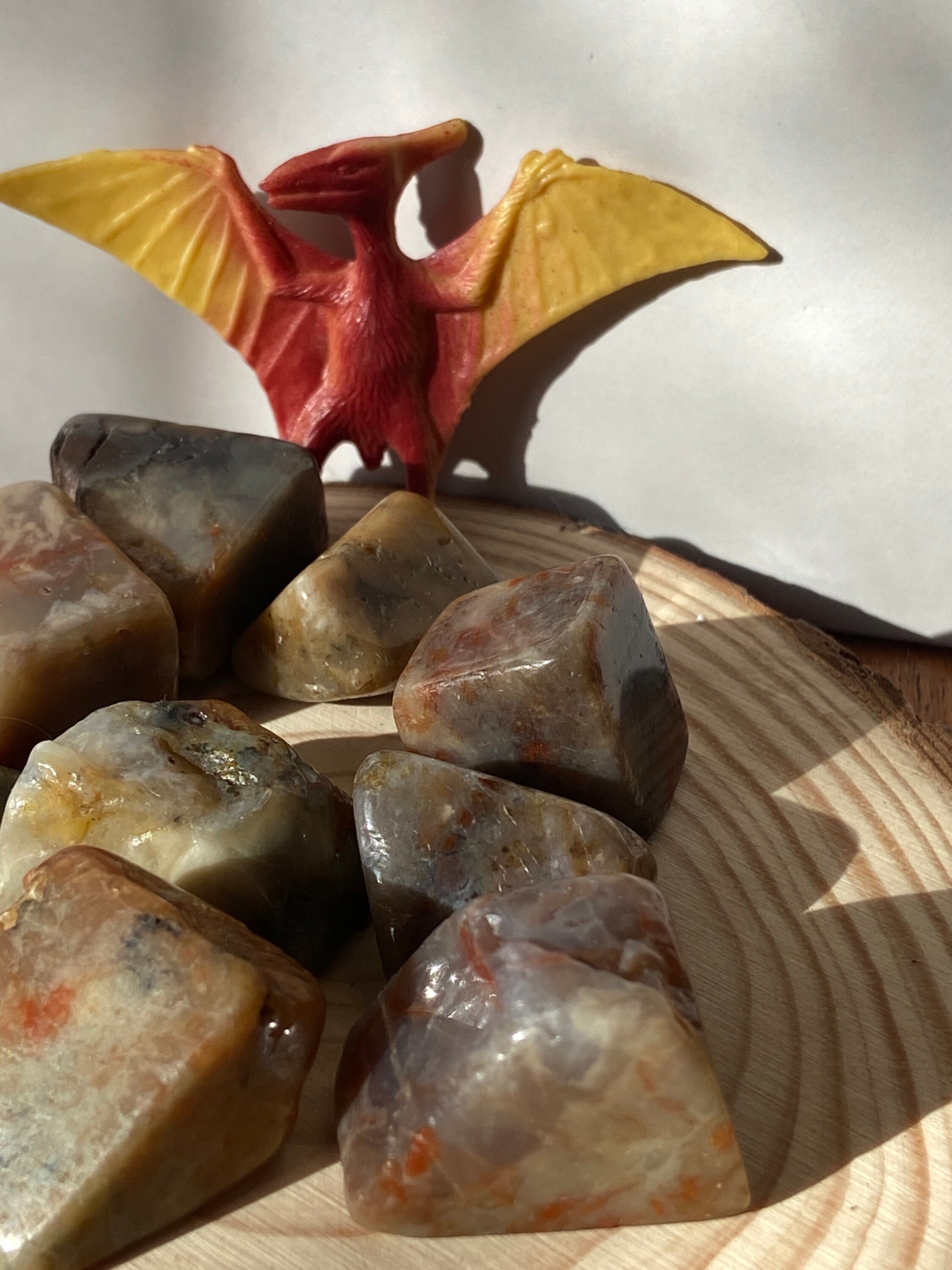 Dinosaur Poo - Coprolite Tumbled Fossil Stone - Healing Crystal - Fun ...