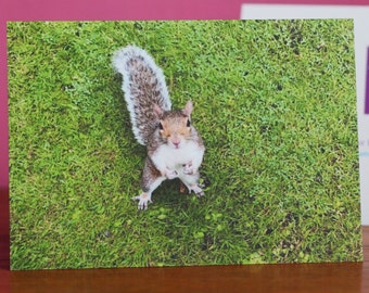 Squirrel Spoon // Greeting Card - Etsy