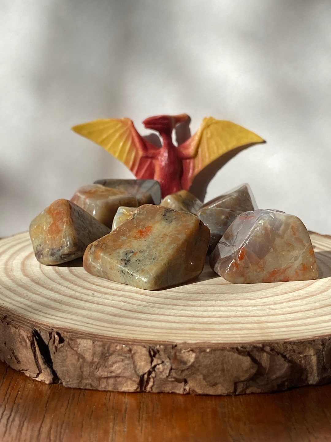 Dinosaur Poo - Coprolite Tumbled Fossil Stone - Healing Crystal - Fun ...